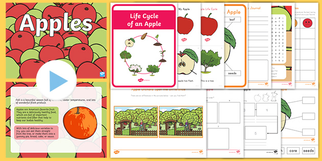 Life Cycle of an Apple Activity Pack - Fall Teaching Resource