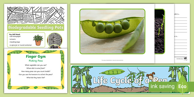 Peas Resource Pack (teacher made)