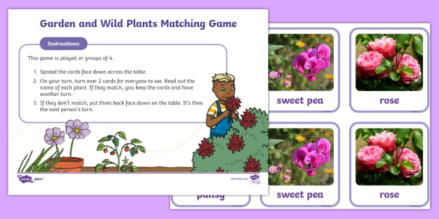 Year 1 Garden and Wild Plants Matching Game