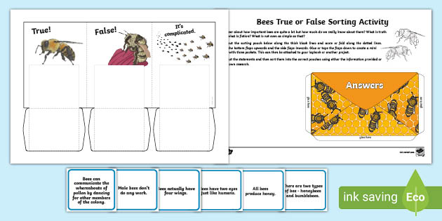 Bee True or False Sorting Activity (teacher made)