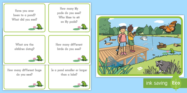 Pond Scene and Question Cards (teacher made)