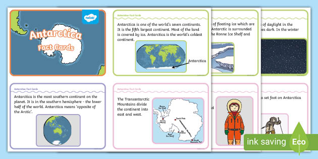 KS1 Antarctica Fact Cards (teacher made)