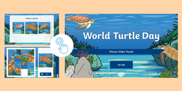 World Turtle Day Picture Slider Puzzle (teacher made)