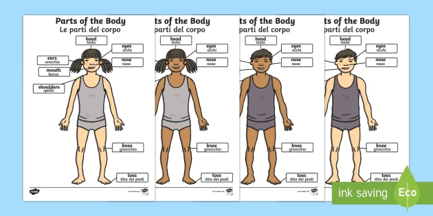 Parts of the Body A4 Posters English/Italian - Parts of the Body (A4)
