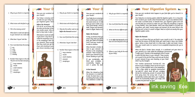 The Digestive System Differentiated Reading Comprehension Activity