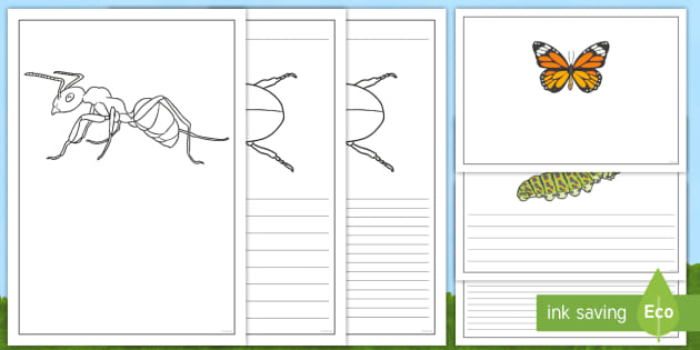 Minibeasts Writing Frame (teacher made)