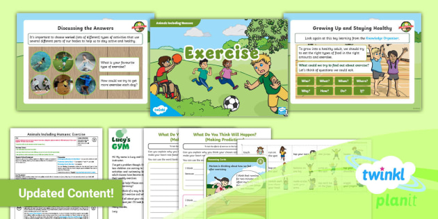 Science: Animals Including Humans: Exercise Year 2 Lesson 5