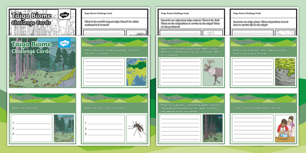Taiga Biome Challenge Cards