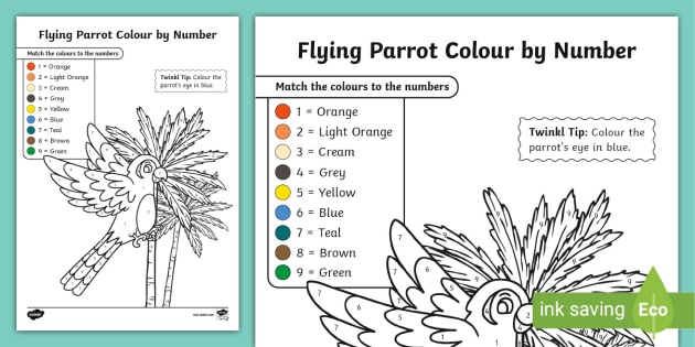 FREE! - Flying Parrot Colour by Number (teacher made)