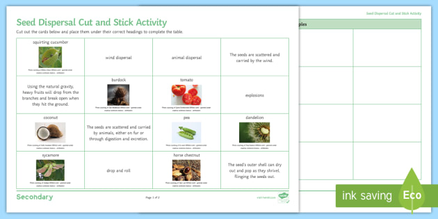 Seed Dispersal Cut and Stick Worksheet / Worksheet