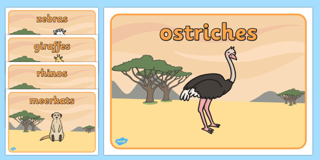 FREE! - 👉 Editable Class Group Signs (Safari Animals)