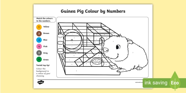 FREE! - Guinea Pig Colour by Number (teacher made)