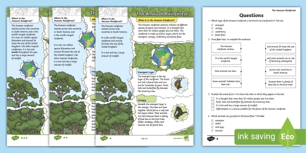 LKS2 The Amazon Rainforest Differentiated Comprehension