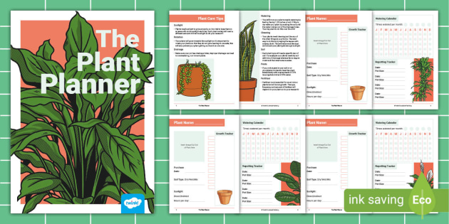 The Plant Planner | Twinkl Busy Bees (teacher made)