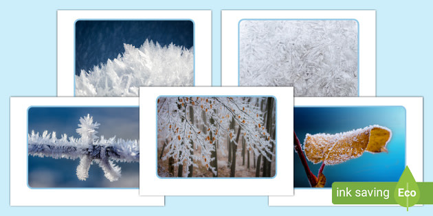 Frost Display Photos