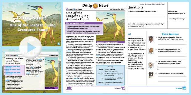 Paleontology Reading Comprehensions | twinkl.com.au