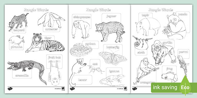 Jungle Words Colouring Sheets - ESL Vocabulary Colouring