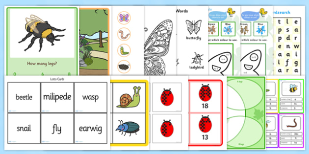 Top Ten Minibeast Activity Pack-Australia (teacher made)