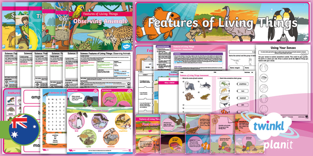 Year 1 Science Features of Living Things Unit Pack