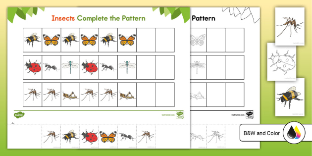 Insects Complete the Pattern Activity (teacher made)