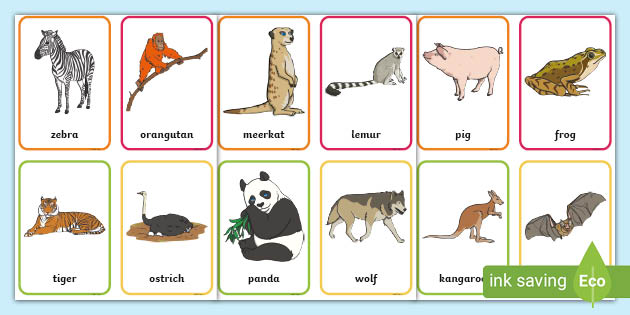 Animal Sorting Cards (teacher made)