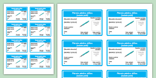 Permis pentru stilou cu posibilitate de editare