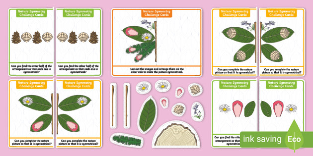 👉 Nature Symmetry Challenge Cards (Teacher-Made)