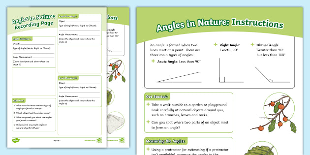 Right Angle In Nature Something Satisfying About Those Perfect Right