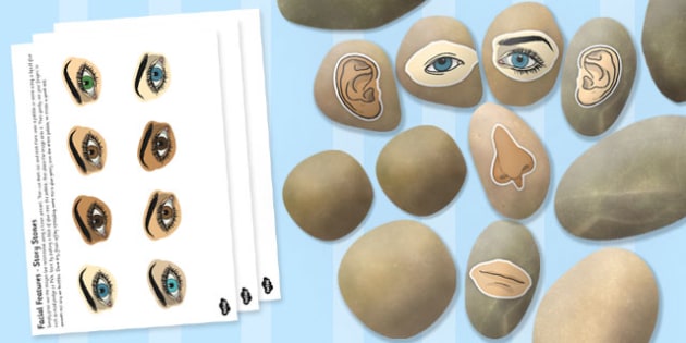 Facial Features Story Stone Image Cut Outs (teacher made)