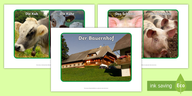 Farm Animals Display Posters (teacher made)