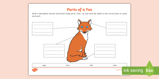 Parts of a Fox Activity Sheet (teacher made)