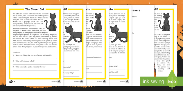 The Clever Cat Differentiated Reading Comprehension Activity