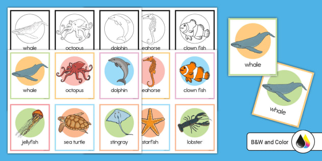 Ocean Animal Matching Game (teacher made)