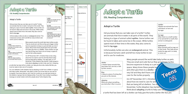 Reading Comprehensions | twinkl.ca