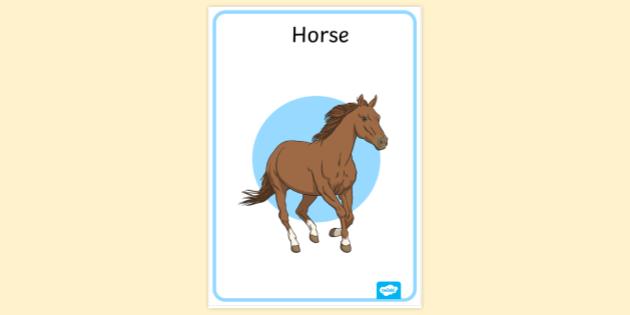 FREE! - Horse Poster | Easy Display Poster | Primary Resources