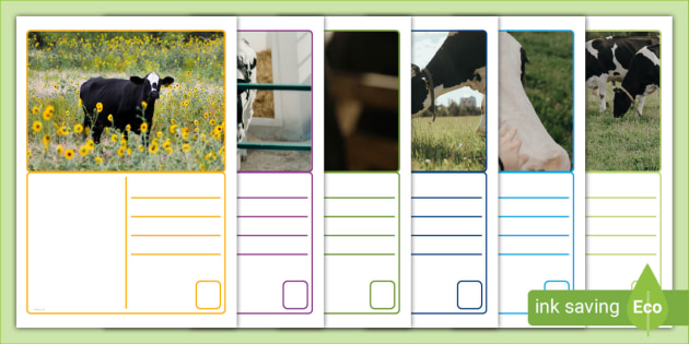 FREE! - Cow Postcards (teacher made)