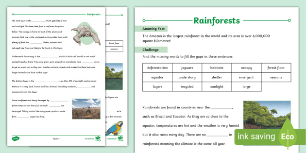 Rainforests Cloze Passage | Find the Missing Word Worksheet