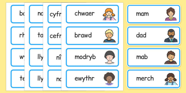 fy nheulu Word Cards Cymraeg - cymraeg, welsh, my family, word cards, word