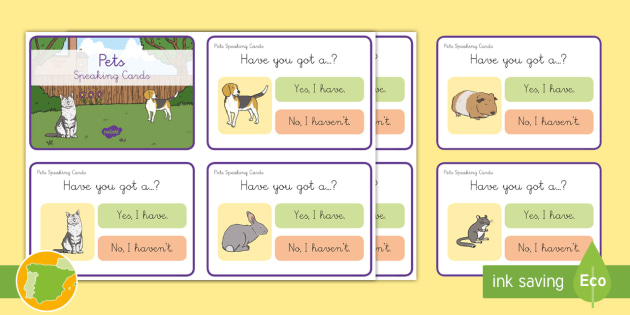 A1 Tarjetas de vocabulario: Hablar de mascotas en inglés - pets, english