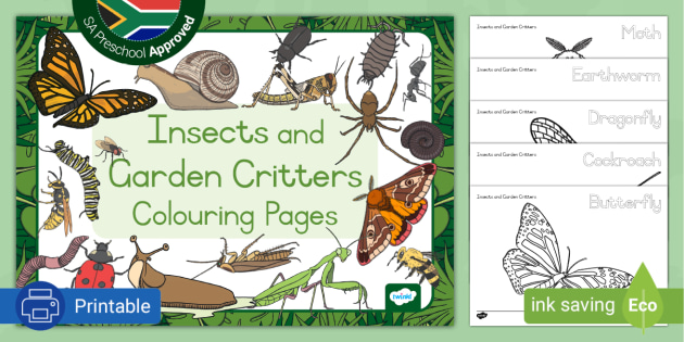 Insects and Garden Critters Colouring Pages (teacher made)