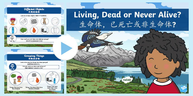 KS1 Alive, Dead or Never Alive? PowerPoint - English/Mandarin Chinese