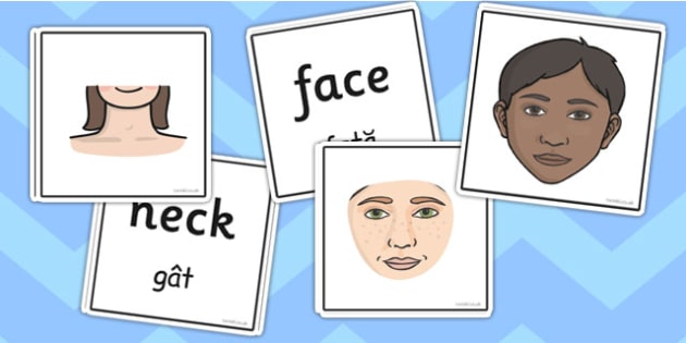 Parts of the Body Word and Picture Matching Cards Romanian Translation