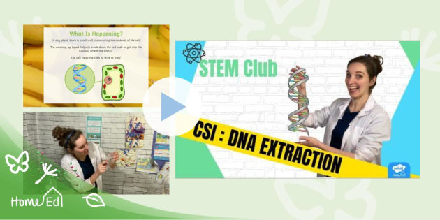 FREE! - DNA Extraction (teacher made)