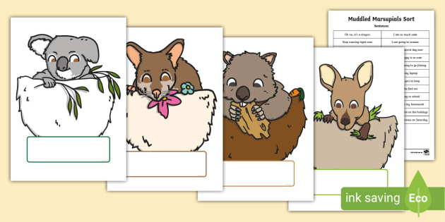 Australian Animals Punctuation Activity | Twinkl