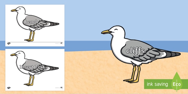 Editable Seagull Display (teacher made)