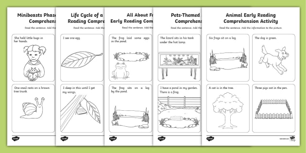 Phase 4 Early Reading Comprehensions: Animals (teacher made)