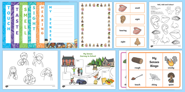 Top Ten My Senses Activity Pack (teacher made)