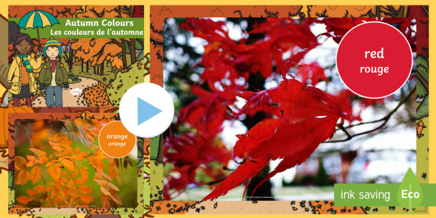 Autumn Colours Photo PowerPoint English/French