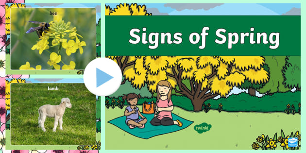 Spring Aistear Signs of Spring PowerPoint (teacher made)