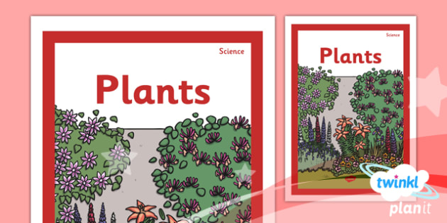 Science: Plants Year 1 Unit Book Cover